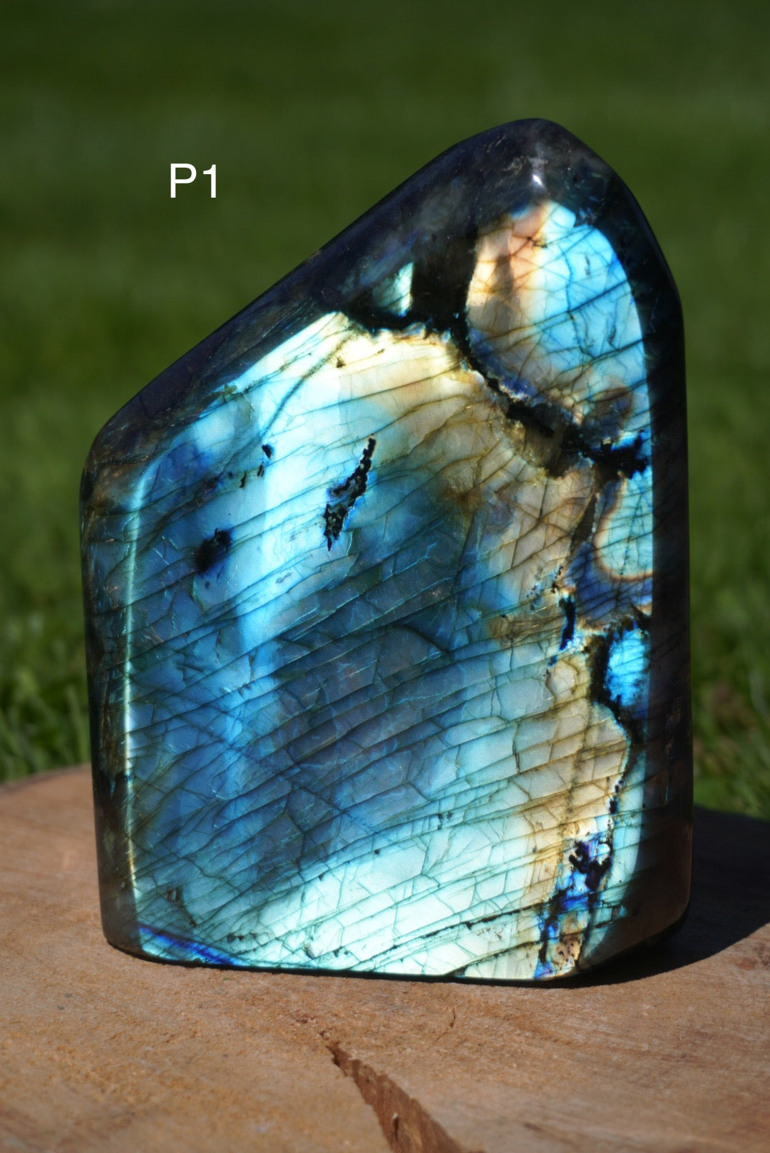 Freeforms – Stardust Crystals